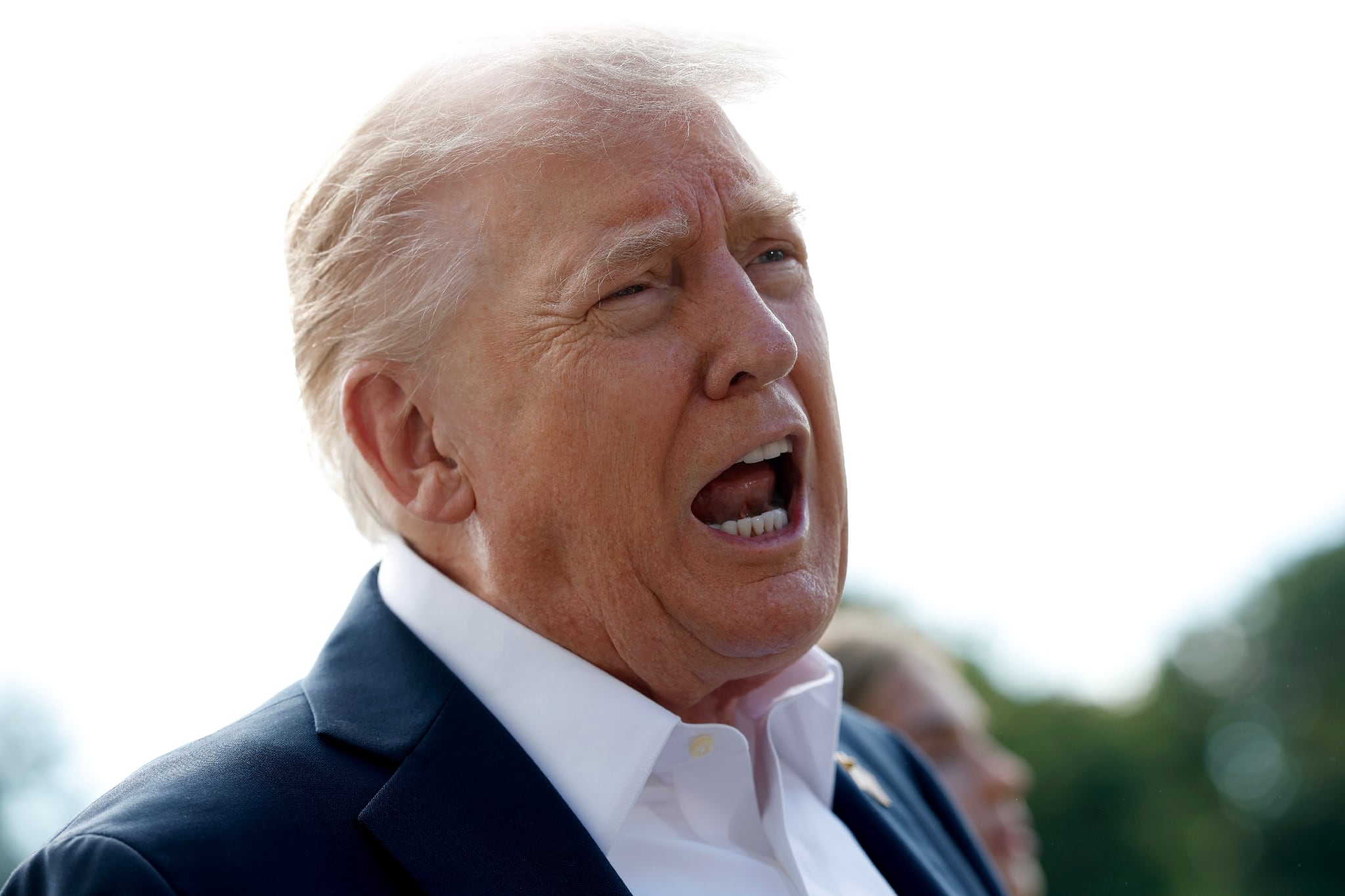 Virginia Contreras : "Donald Trump n’est pas la solution miracle pour ...
